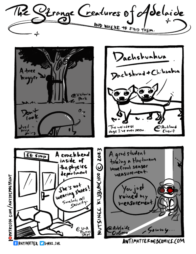 The Strange Creatures of Adelaide – ANTIMATTER